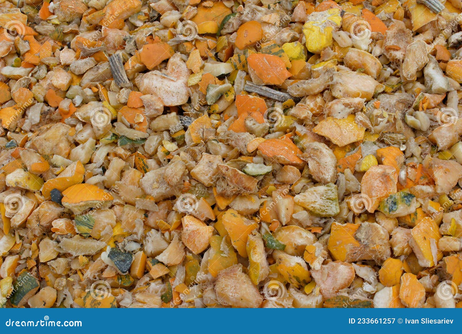 Crushed Pumpkin Pieces stock image. Image of crop, flower - 233661257