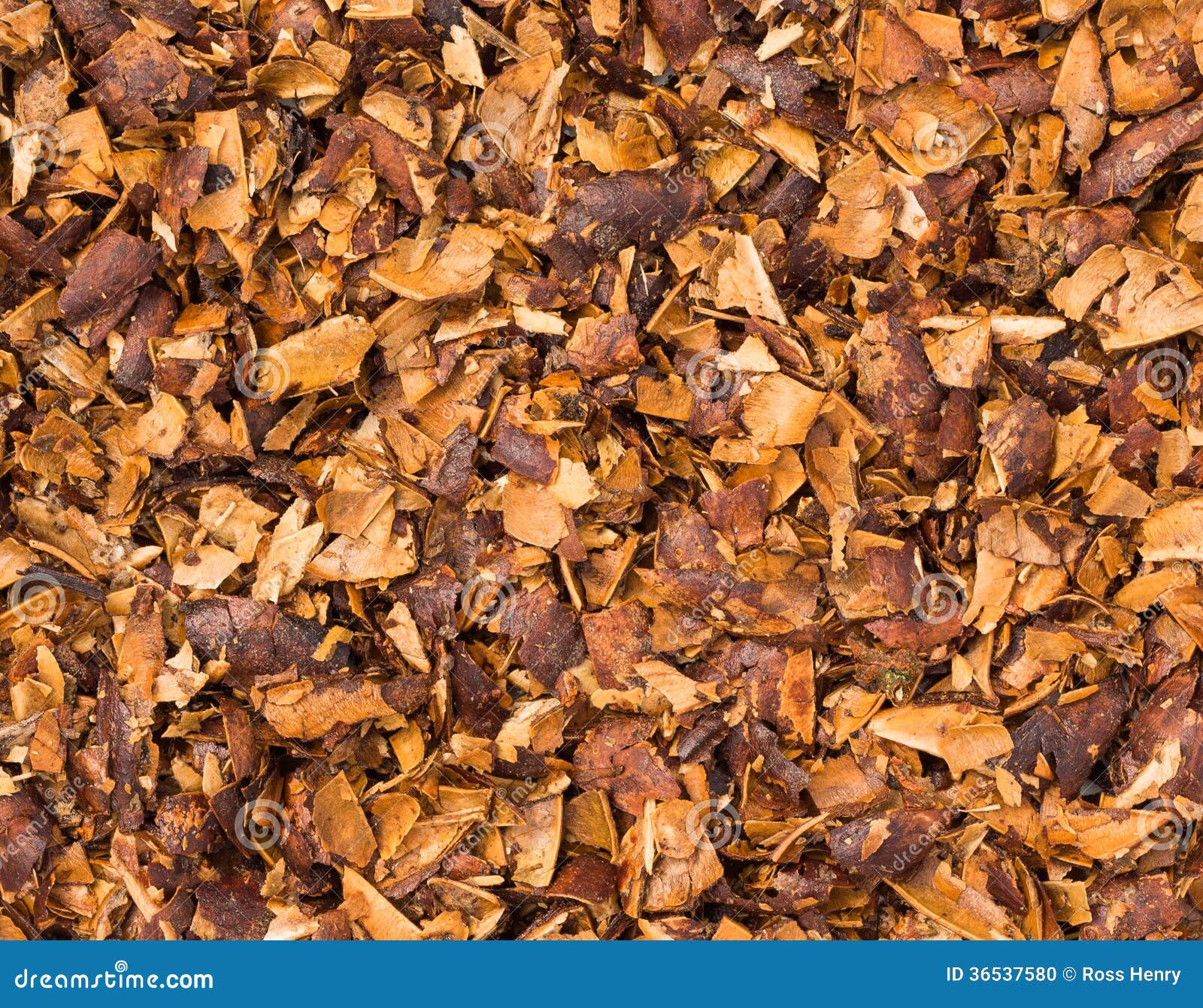 Crushed Seed Nuts stock photo. Image of texture, shell - 36537580