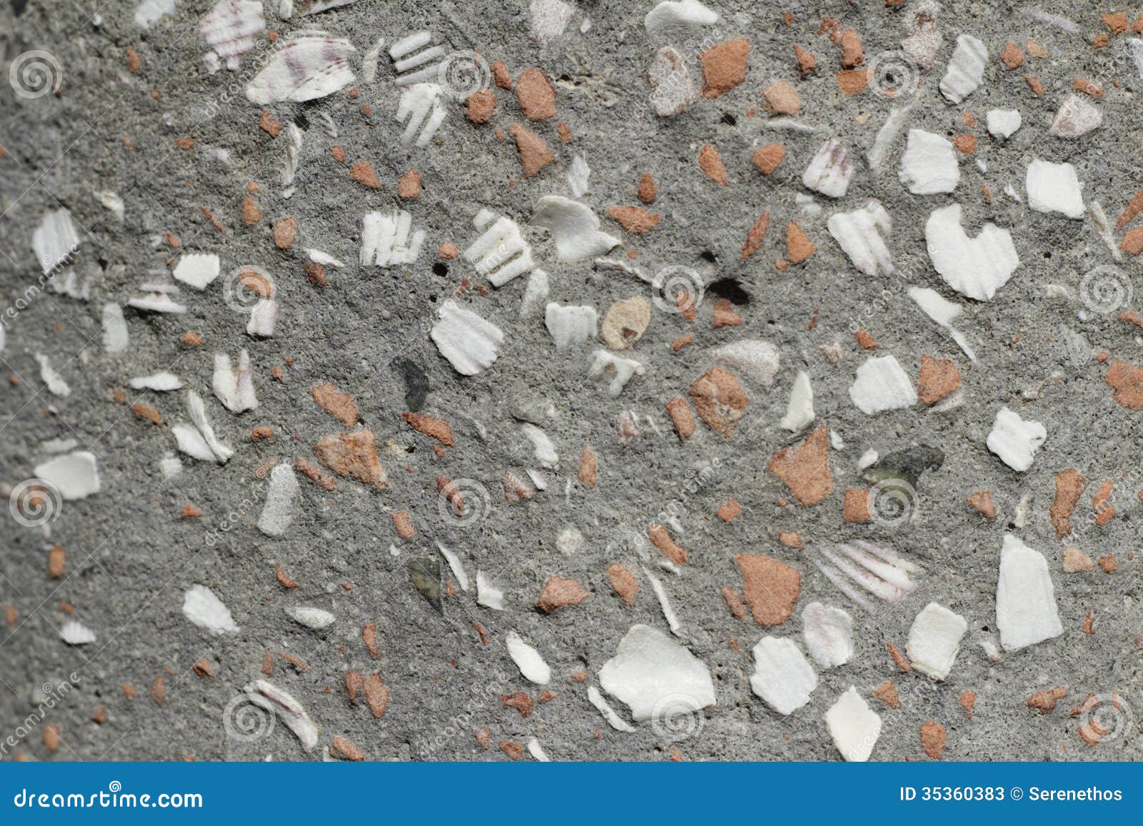 Crushed Egg Shell And Spent Coffee Grounds In Bowl Against Plants ...