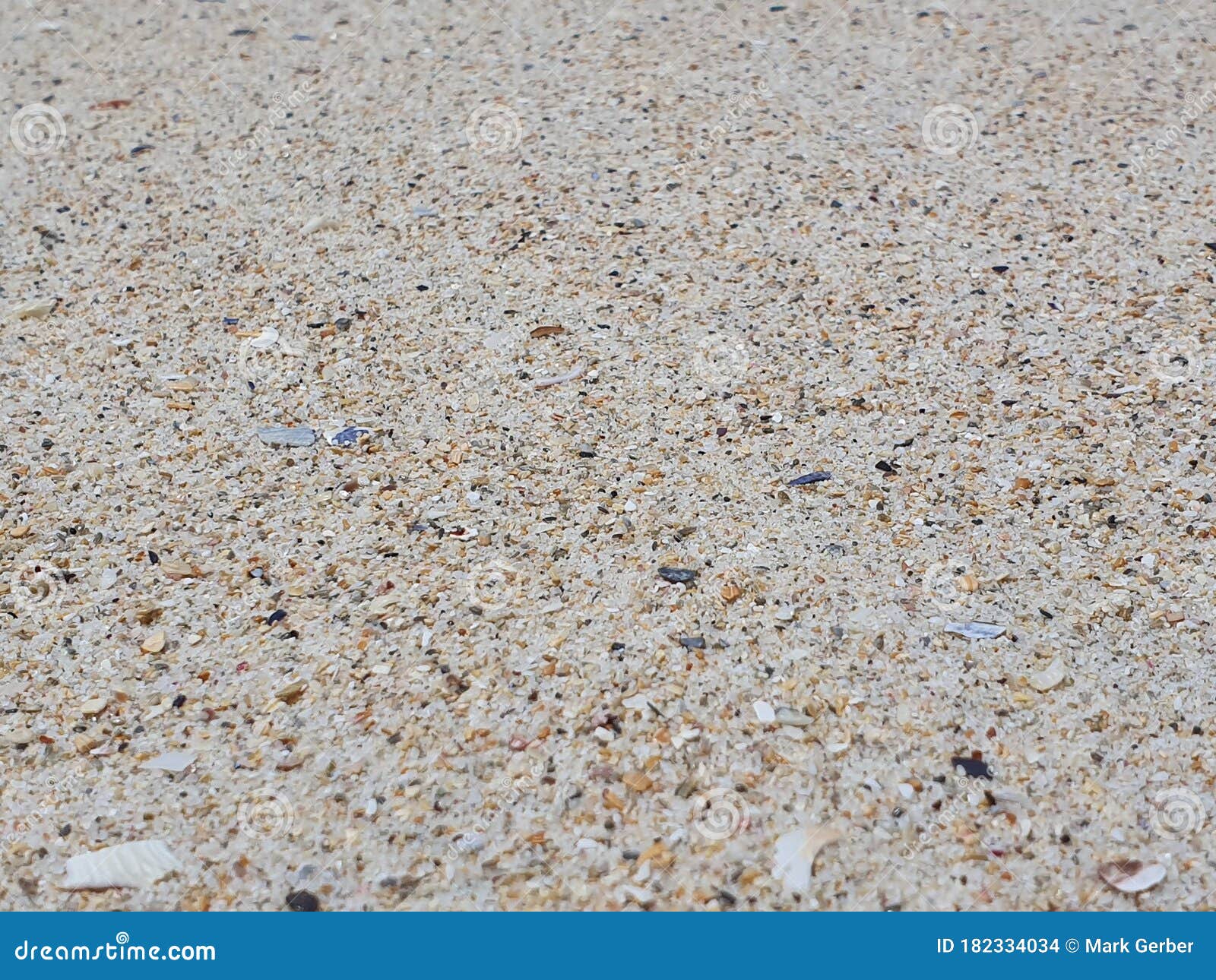 Crushed Shells stock photo. Image of geology, shells - 182334034