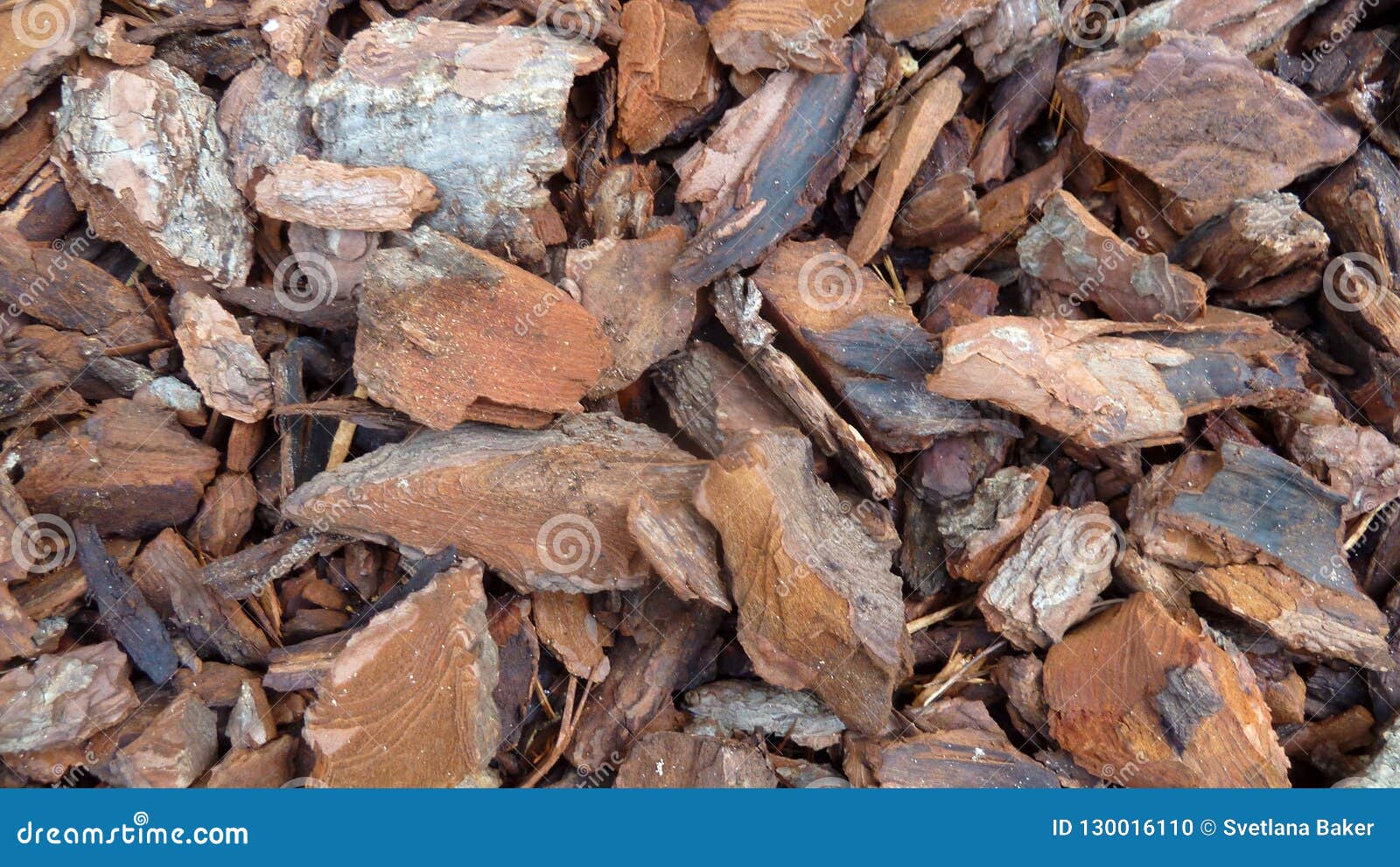 Crushed Tree Bark Background . Shredded Tree Bark For Textures Royalty ...