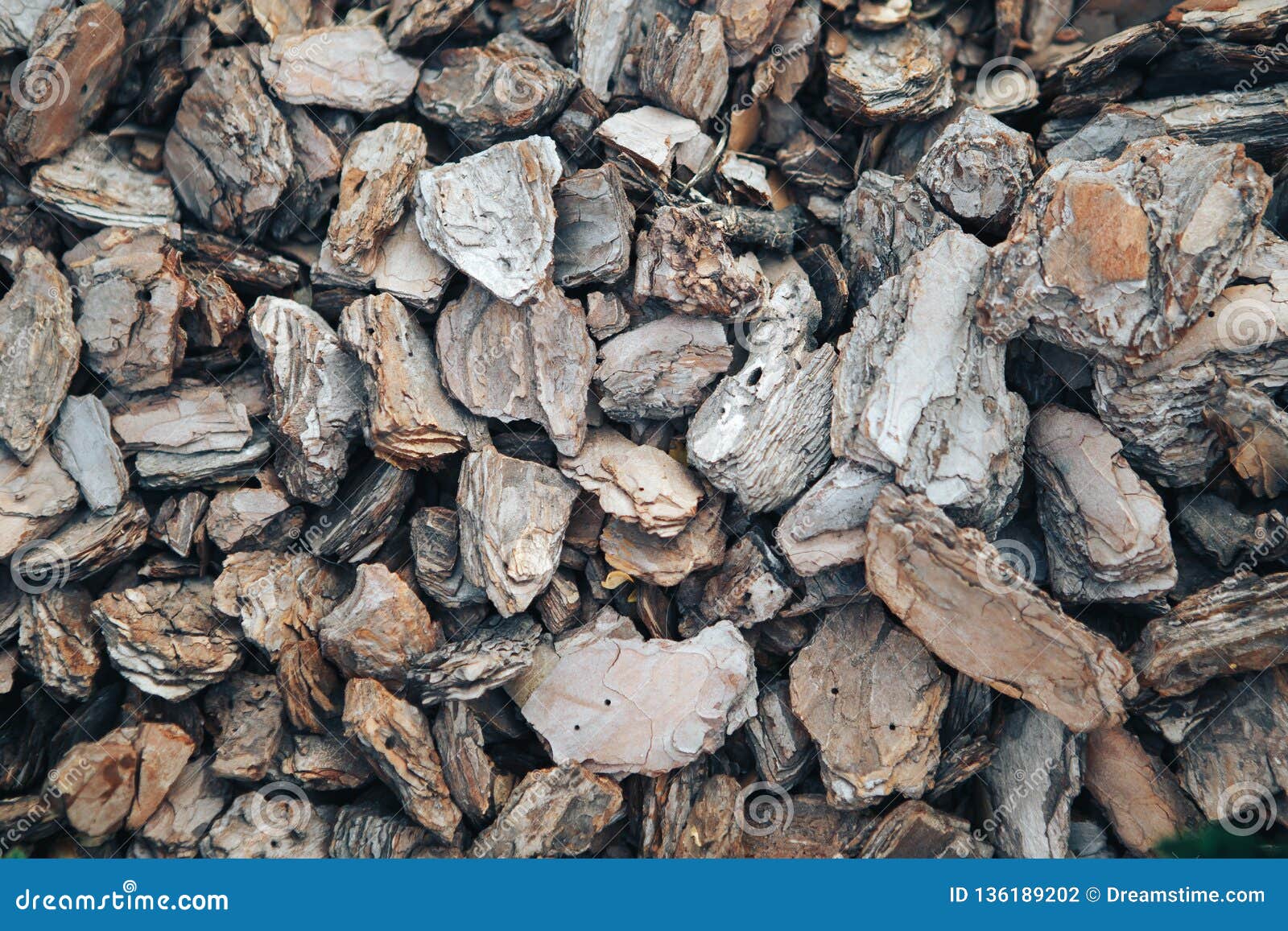 Crushed Tree Bark Background . Shredded Tree Bark For Textures Royalty ...