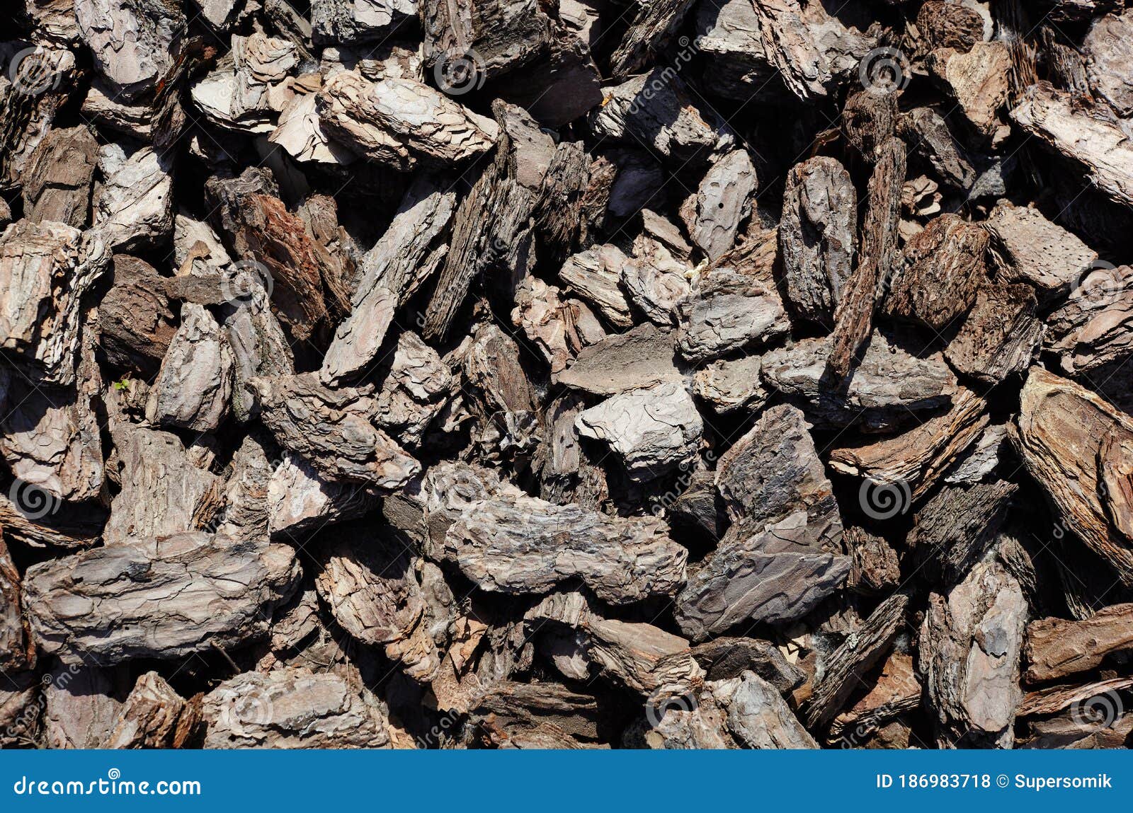 Crushed Tree Bark Texture Background Closeup.Pieces of Trunk Stock ...