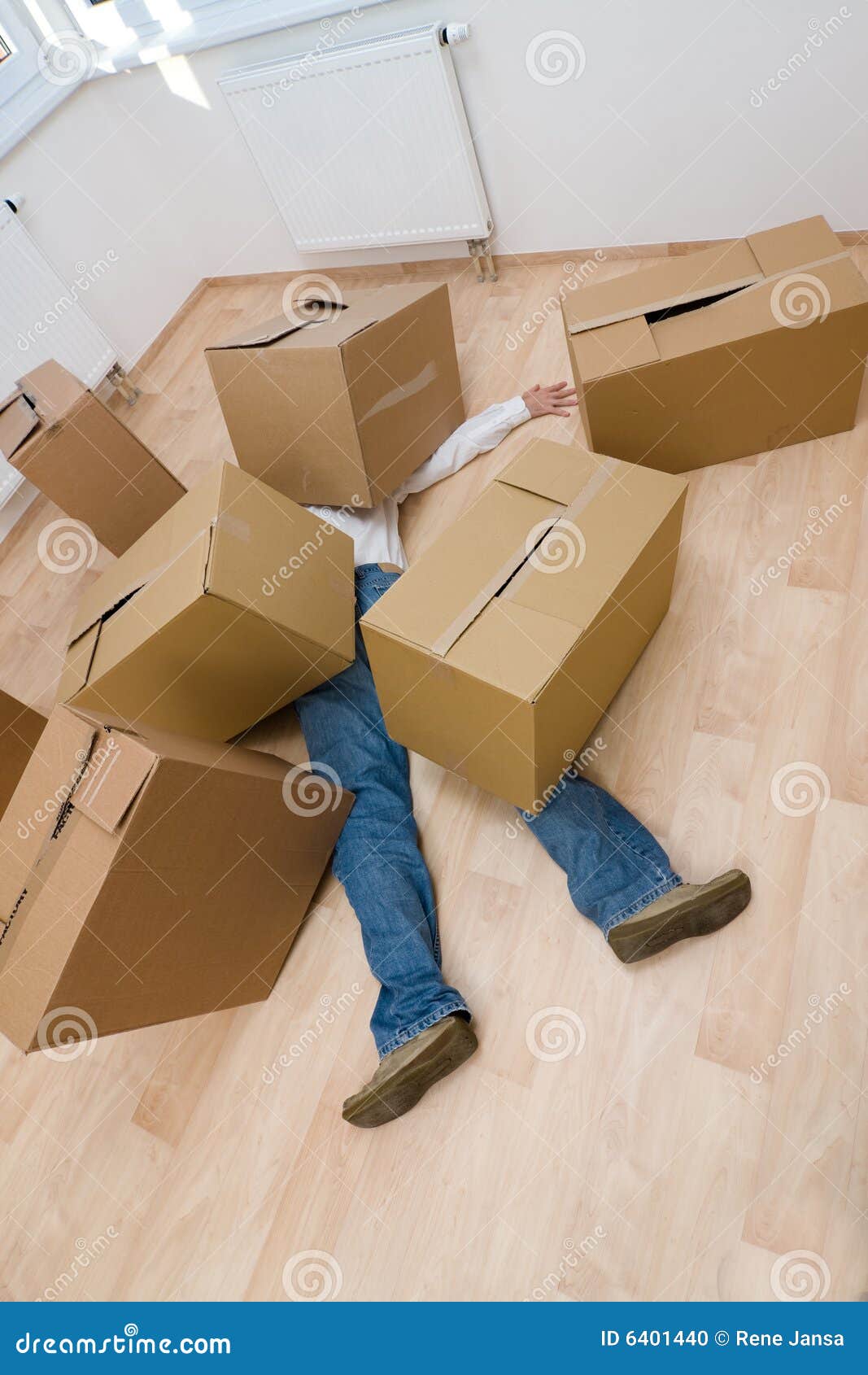 Crushed Underneath stock photo. Image of cardboard, overwhelmed - 6401440