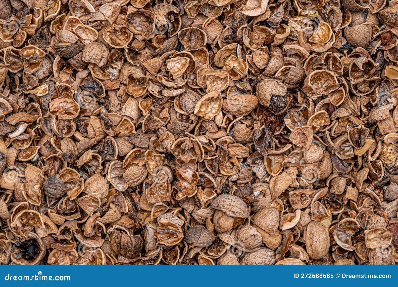 Crushed walnut shells stock image. Image of jute, ingredient - 272688685