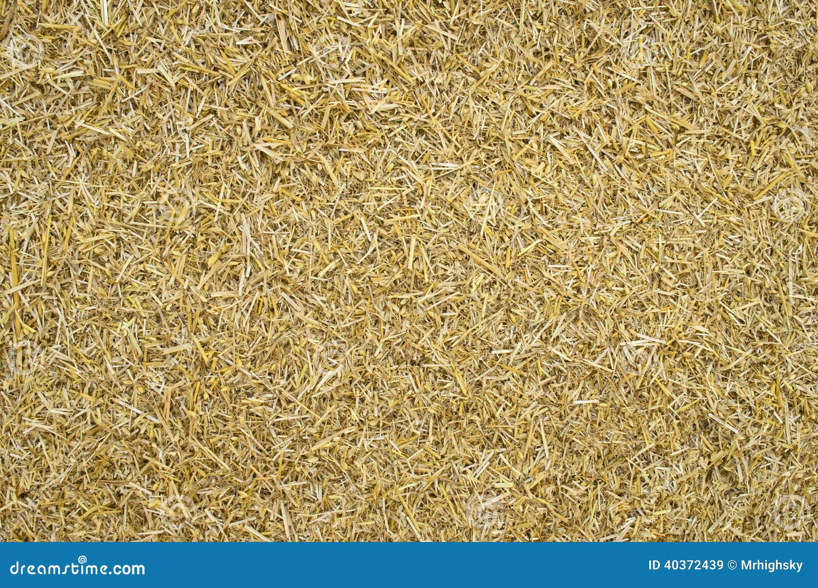 Wheat Straw Pile Texture. Stock Image | CartoonDealer.com #98784271