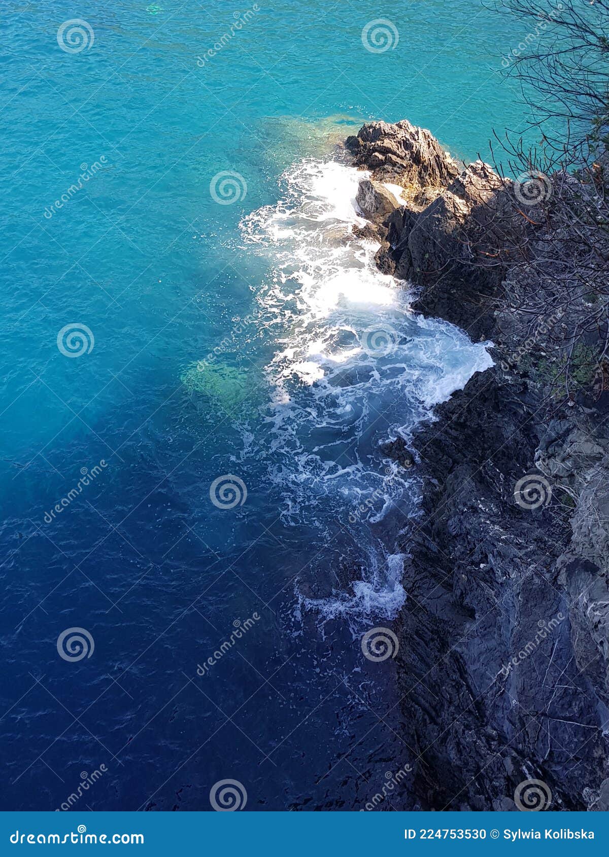 In the blue stock photo. Image of sunlight, ocean, wave - 224753530