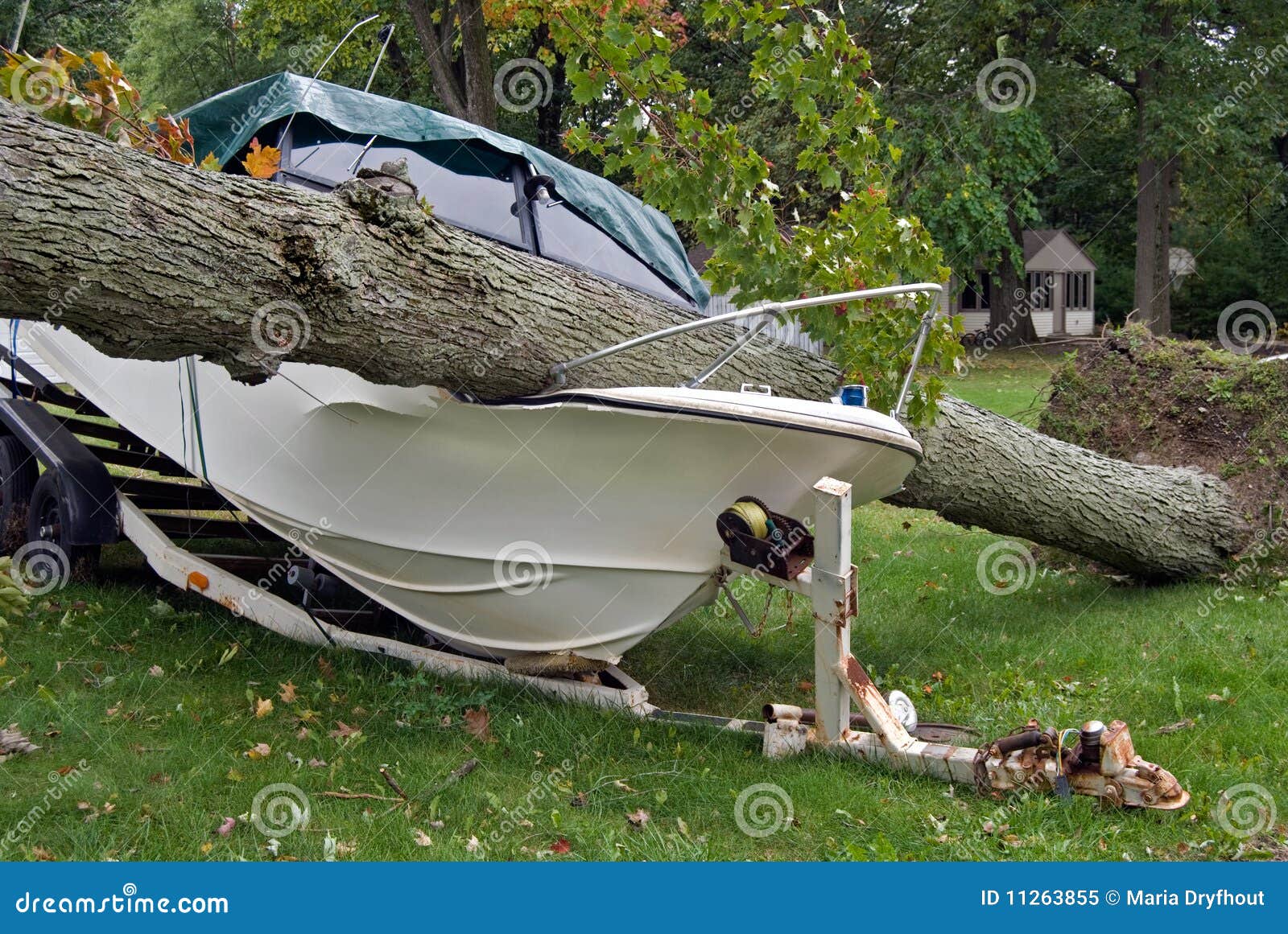 Power Boat Crushed by Fallen Tree Stock Image - Image of yard, hull ...