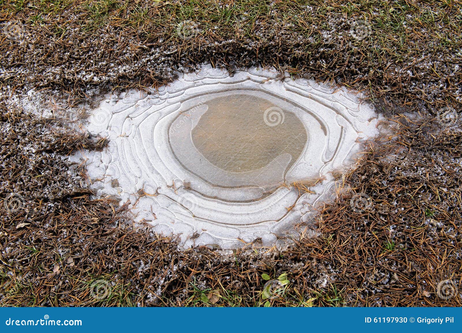 Crust of ice. stock photo. Image of iced, fall, like - 61197930