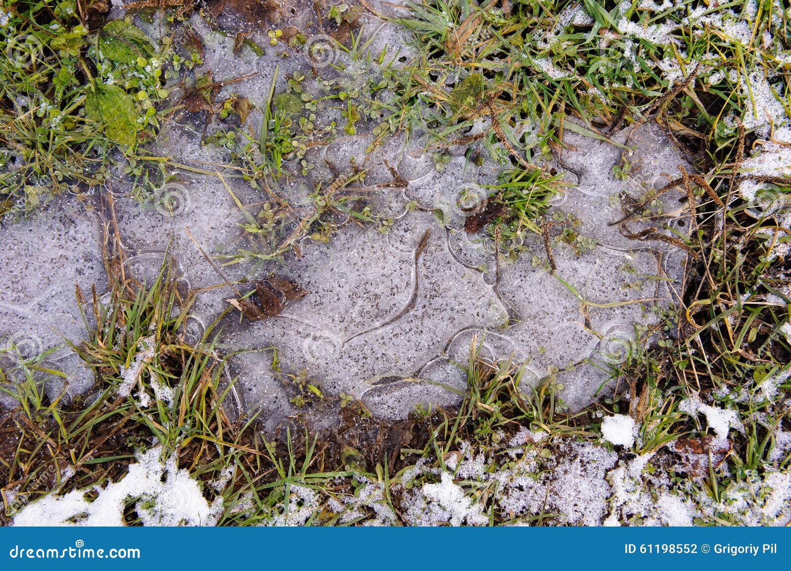 Crust of ice. stock photo. Image of coldness, like, crusty - 61198552