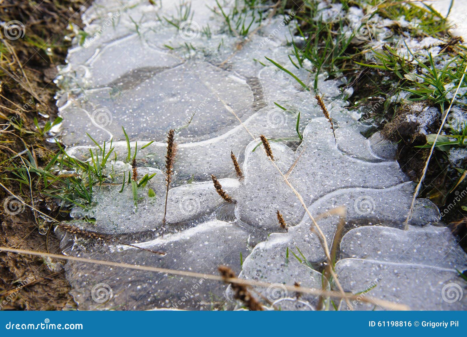 Crust of ice. stock photo. Image of crusty, crack, ground - 61198816