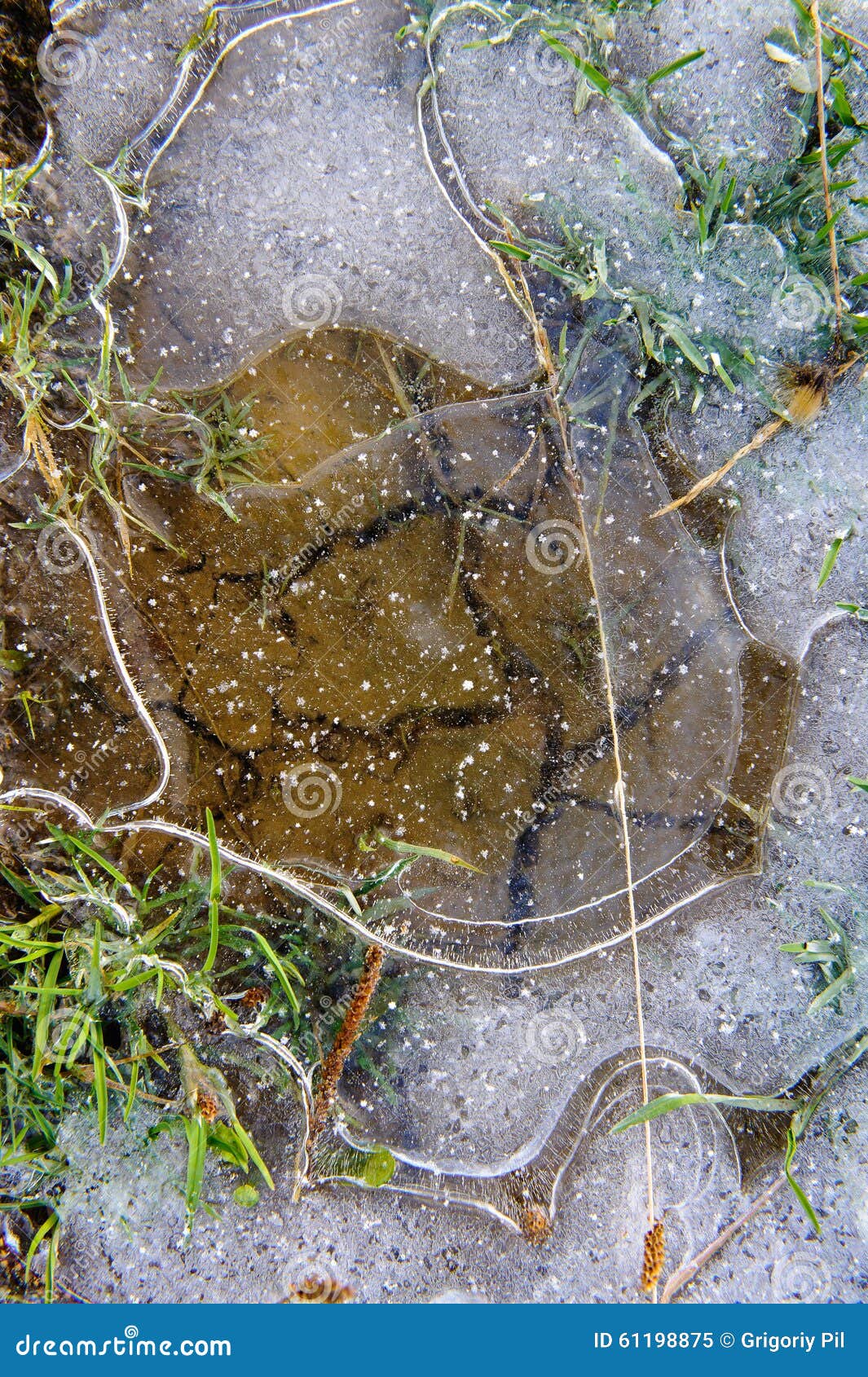 Crust of ice. stock image. Image of nature, glassy, underwater - 61198875