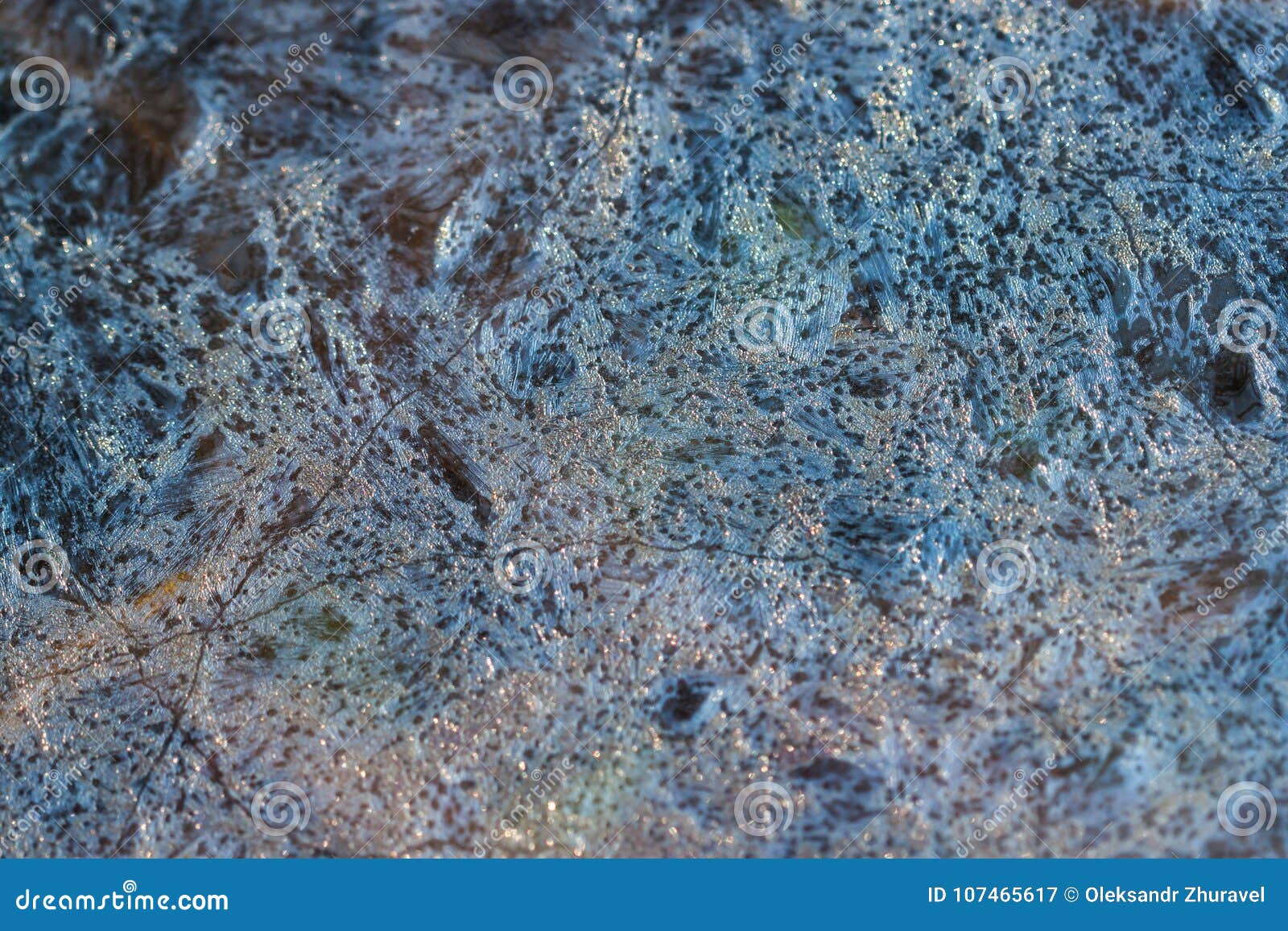 Crust of ice on a puddle stock image. Image of detail - 107465617