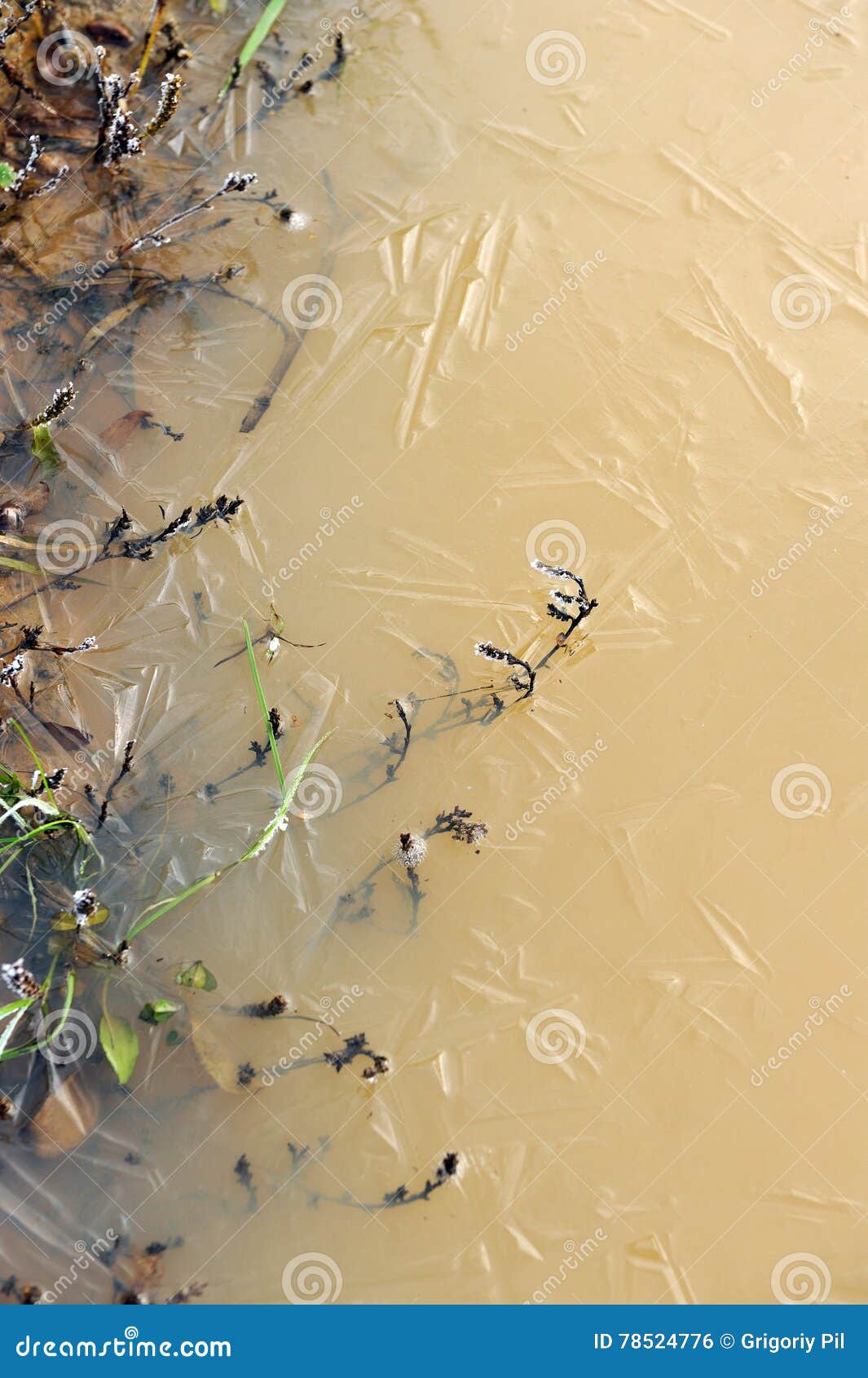 Crust of ice and rime stock photo. Image of artistic - 78524776