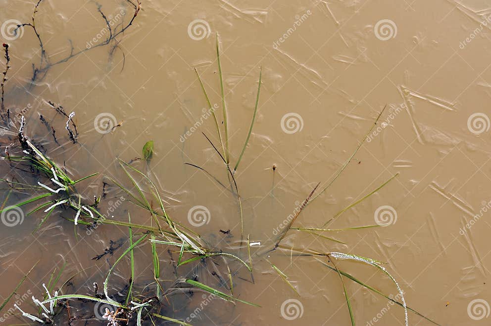 Crust of ice and rime stock photo. Image of moody, rhyme - 78524812