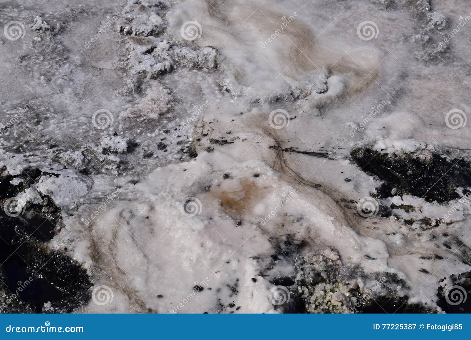 The Crust of Salt on the Bottom the Curative Mud Dry Lake Stock Image ...