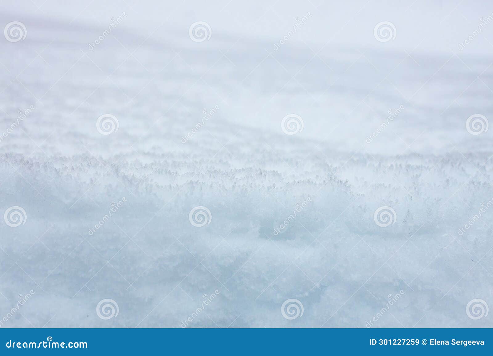 Crust on Snow, Hard Melted Layer on Top of a Snowdrift Stock Image ...