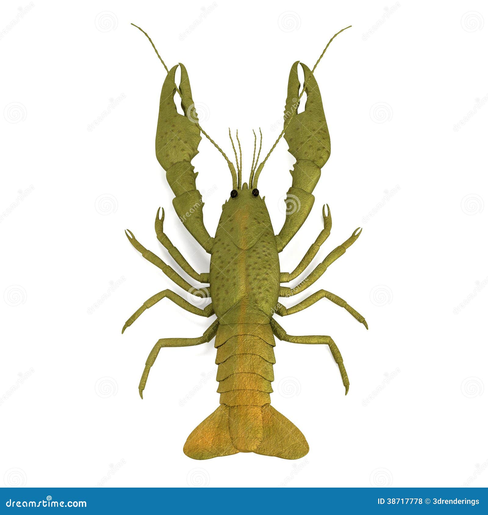 Crustacean - crayfish stock illustration. Illustration of render - 38717778