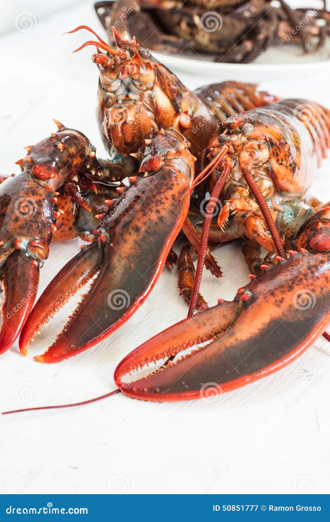 Crustacean stock image. Image of fish, gourmet, dinner - 50851777