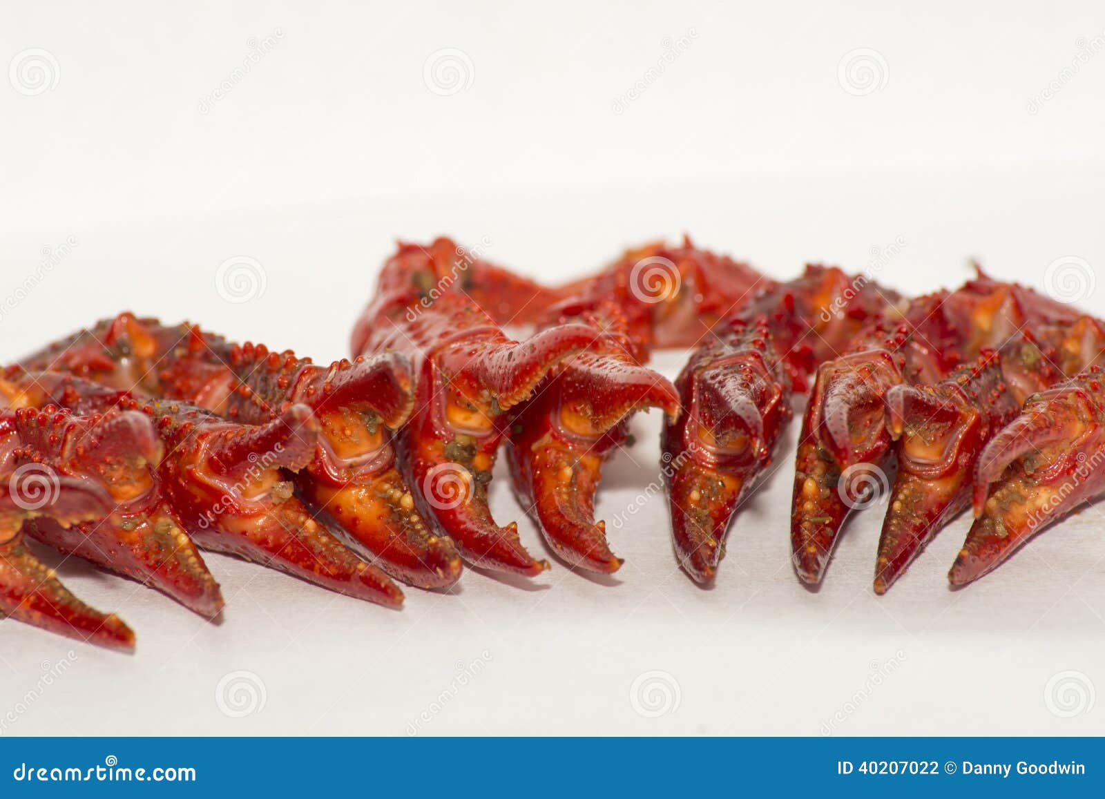 Crustaceans stock photo. Image of nature, lobster, food - 40207022