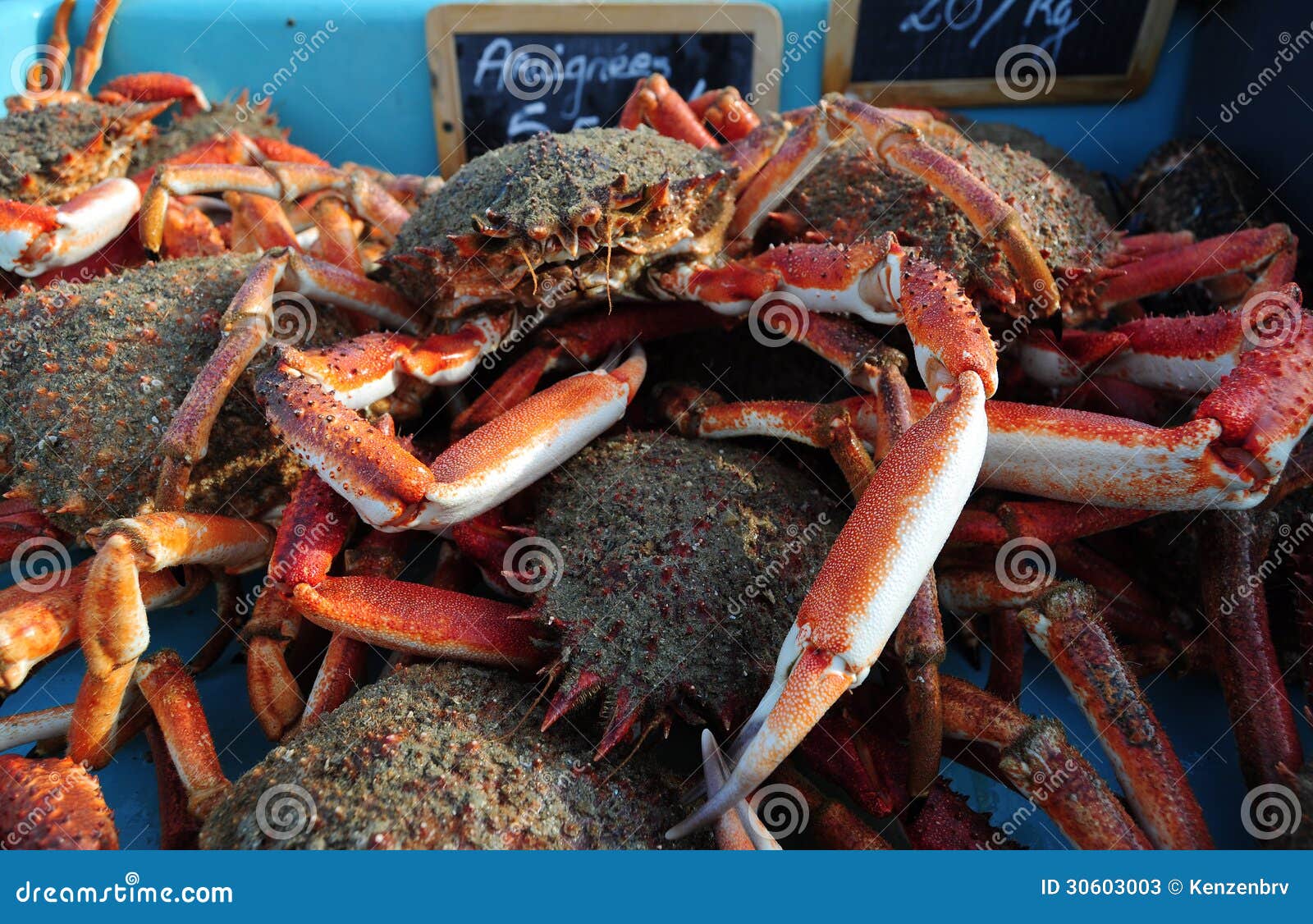 Crustaceans stock image. Image of background, delicatessen - 30603003
