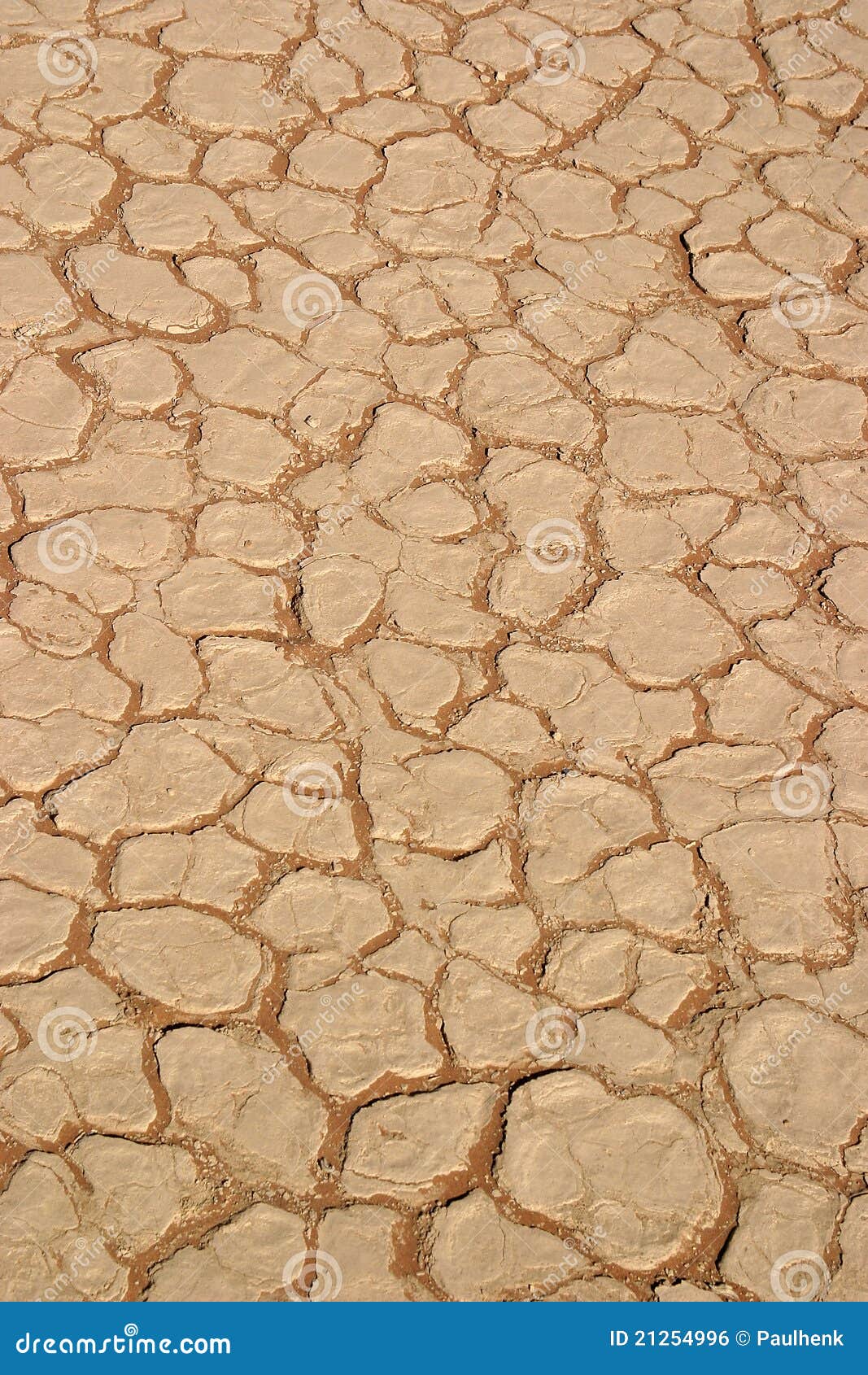 Crusted earth stock photo. Image of layer, dried, salt - 21254996