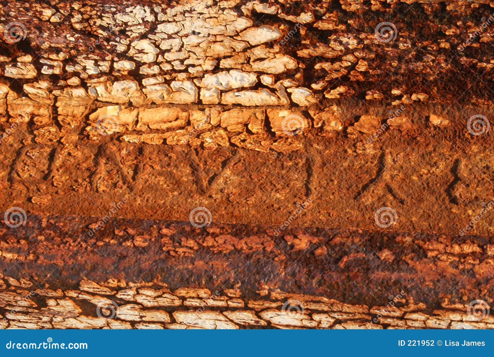 Crusty Picture. Image: 221952