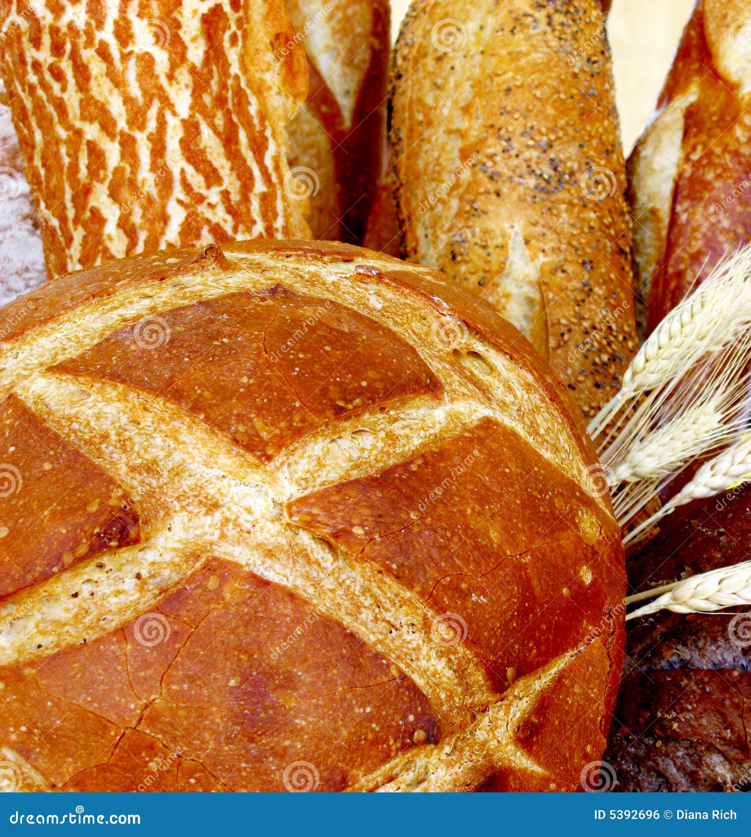 Crusty French Bread stock photo. Image of group, harvest - 5392696