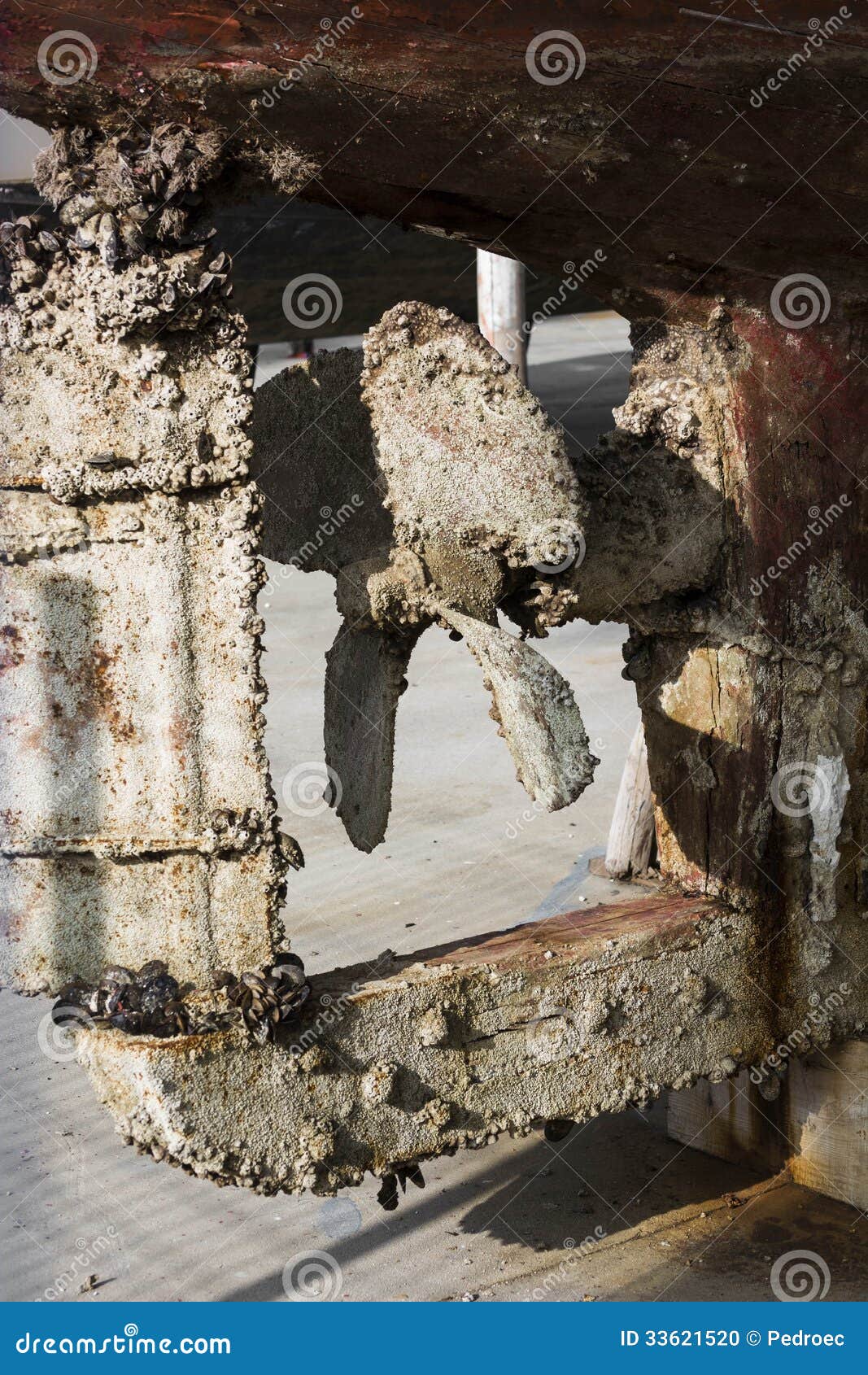 Crusty old propeller stock photo. Image of rust, propellor - 33621520