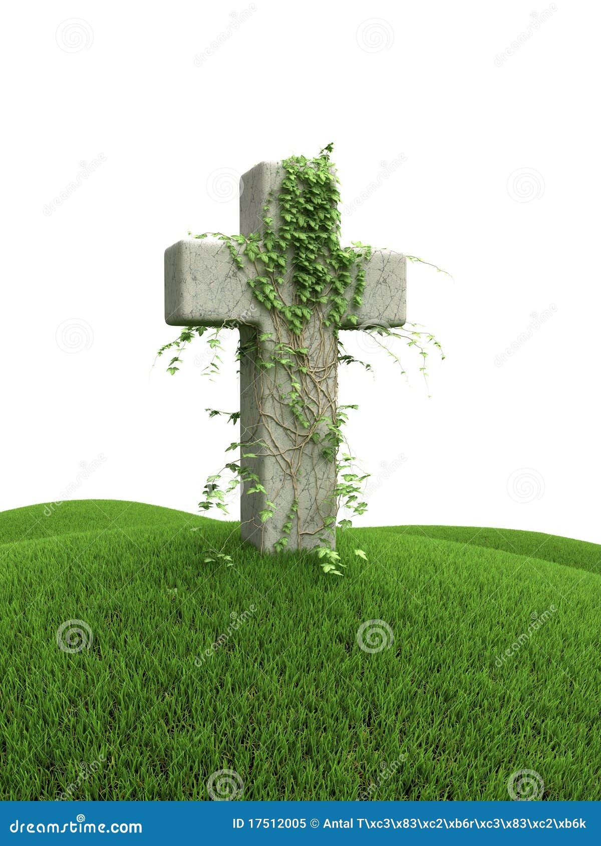 Cruz stock de ilustración. Ilustración de campo, pasto - 17512005