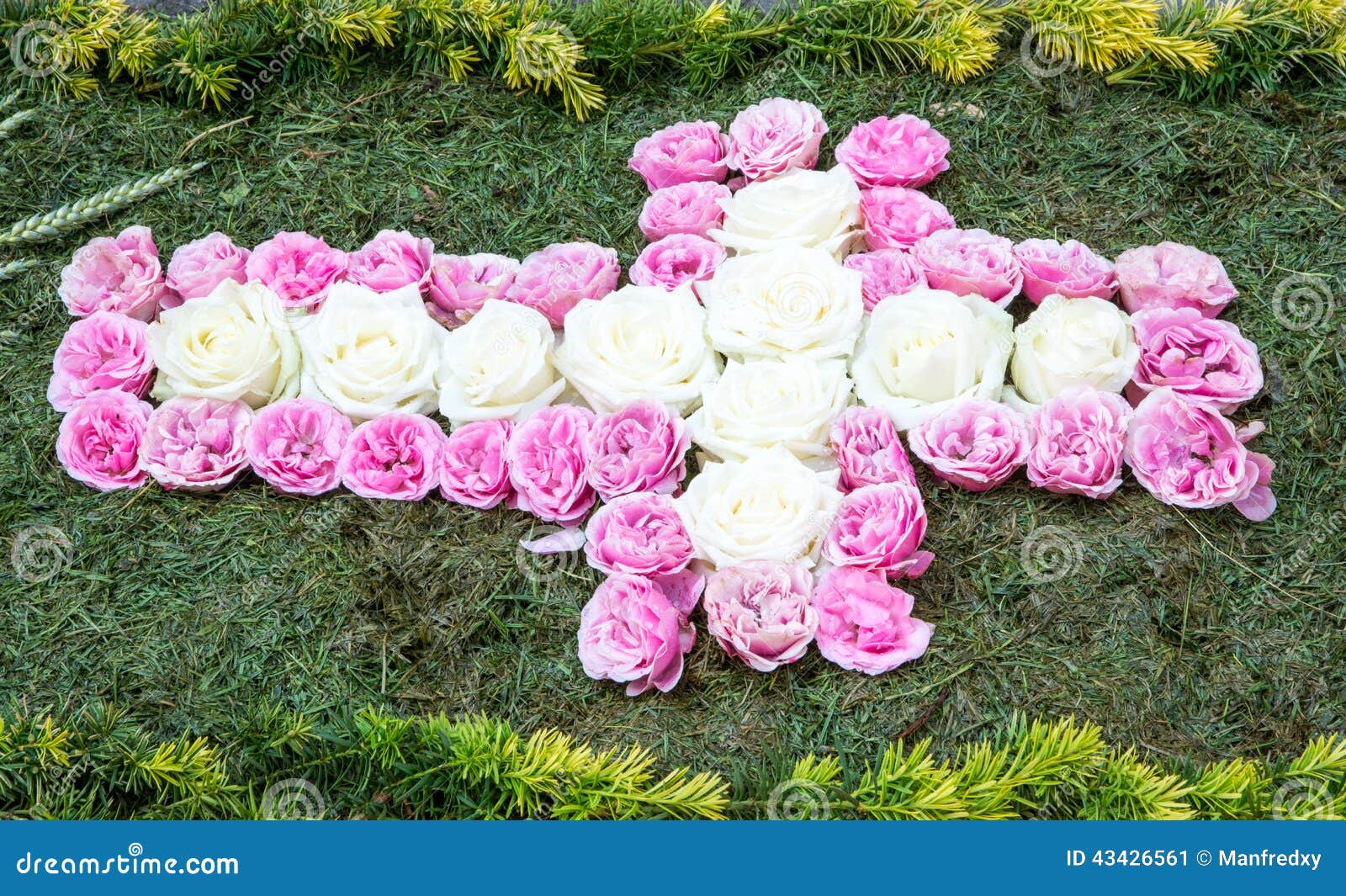 Cruz de la flor imagen de archivo. Imagen de flor, blanco - 43426561