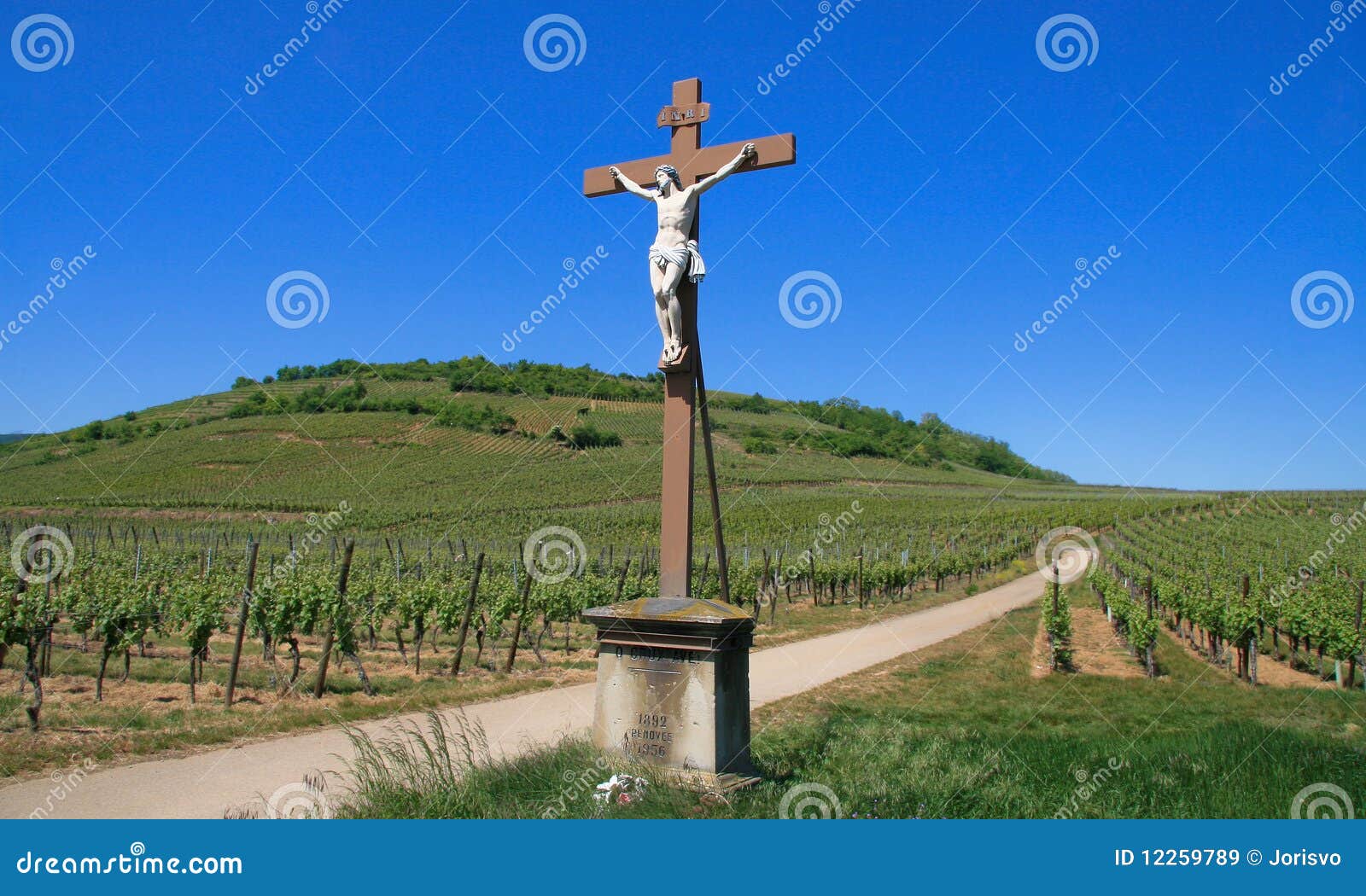 Cruz en un viñedo imagen de archivo. Imagen de religioso - 12259789