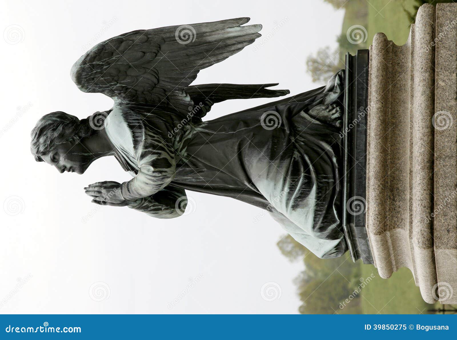 Crying Dove Stock Photos - Free & Royalty-Free Stock Photos from Dreamstime