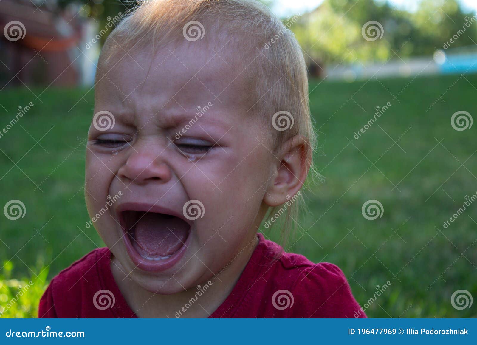 A Crying Baby in the Backyard Tears Stock Image - Image of furry, head ...