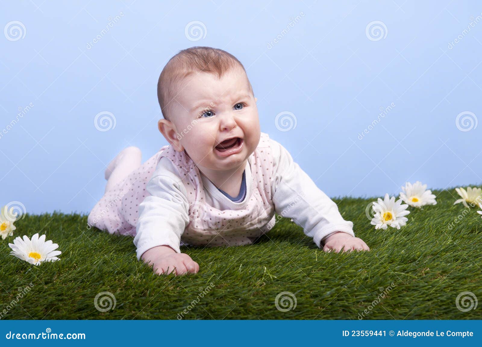 Crying Baby Lying on a Grass Field Stock Image - Image of person ...
