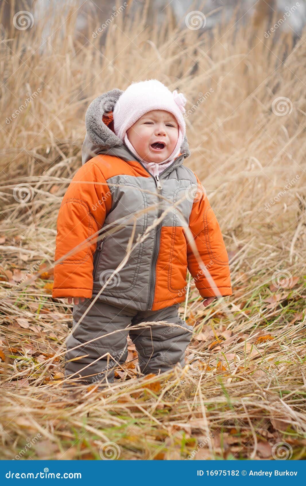 Crying Baby Walking in Autumn Grass Stock Photo - Image of people ...
