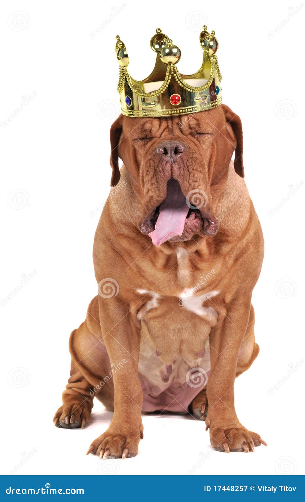 Crying King stock image. Image of kingdom, expression - 17448257