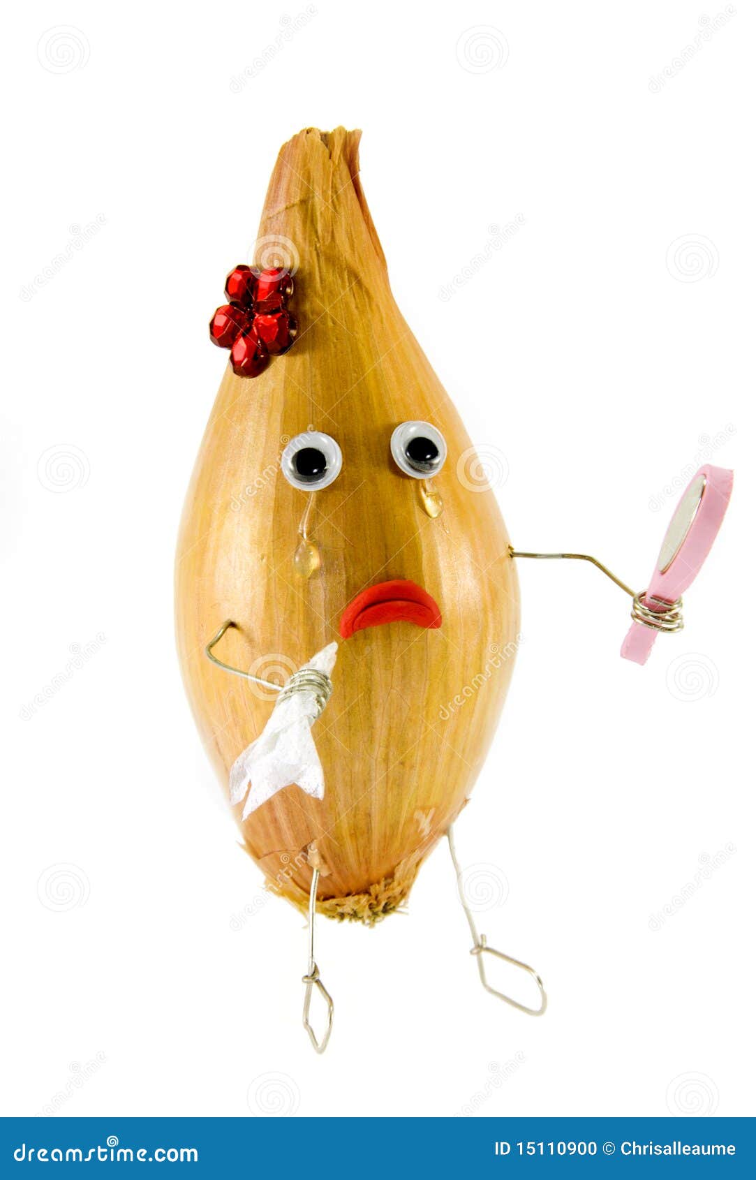 Crying Onion stock photo. Image of girl, tears, vanity - 15110900
