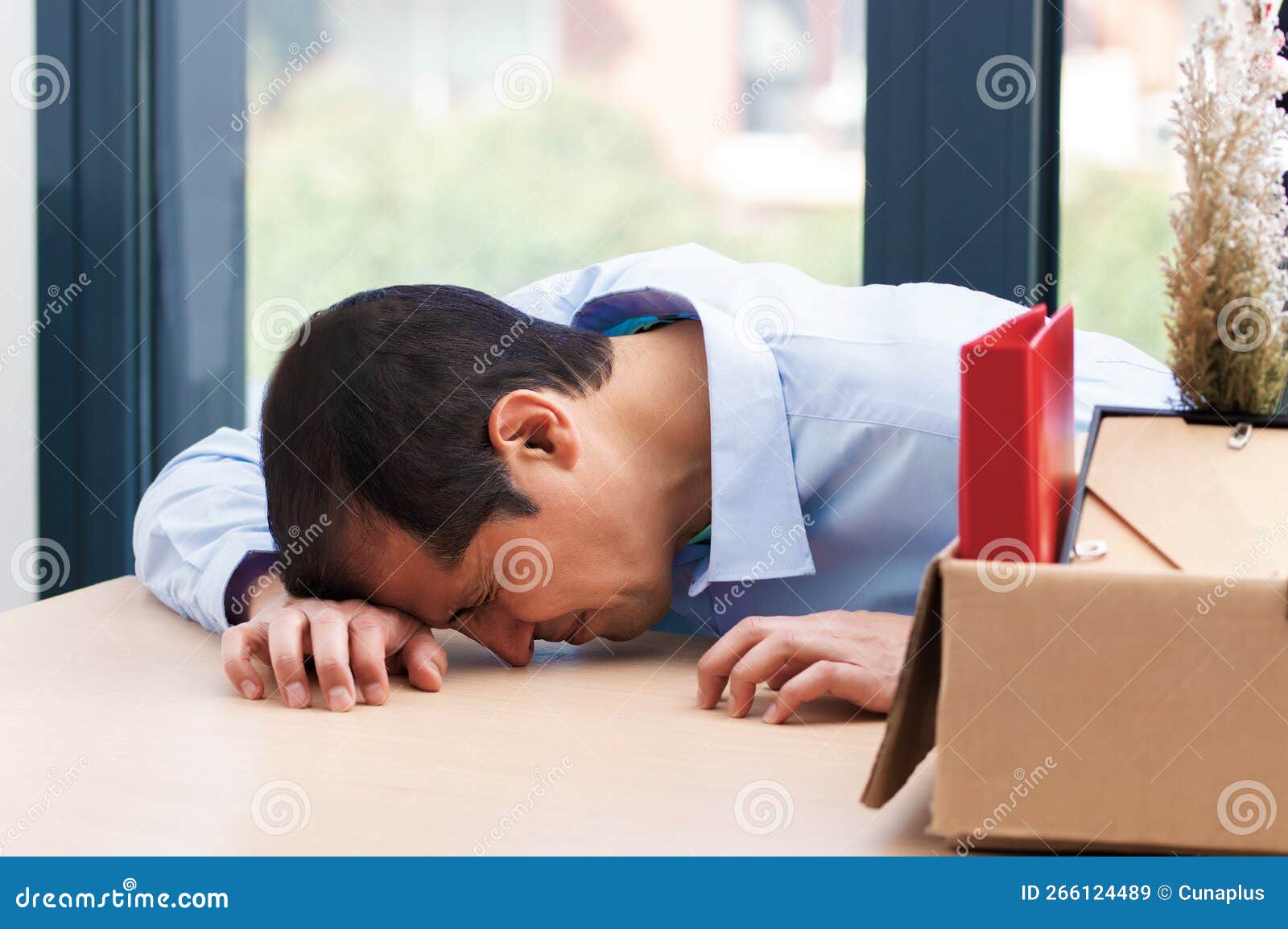 Crying Packing Her Stuff on a Box Stock Image - Image of bankruptcy ...