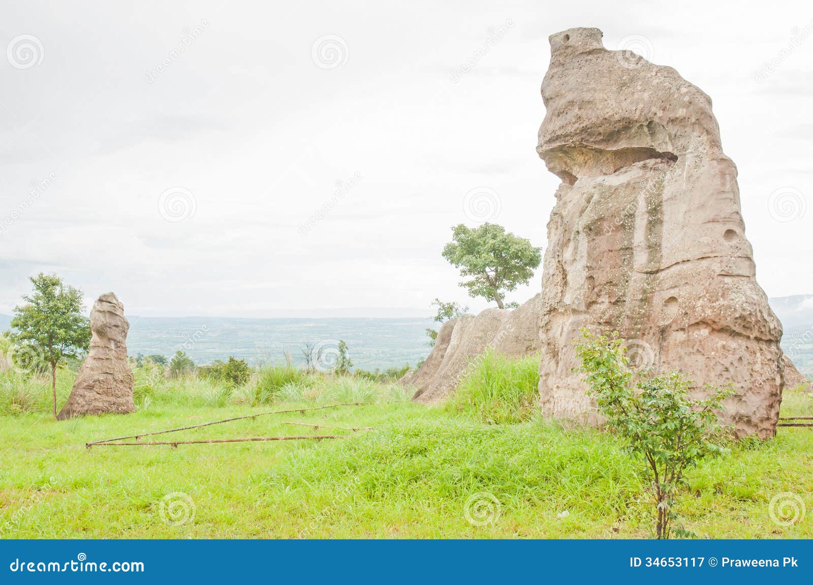 Crying Stone in the Stone Filed Stock Image - Image of stone, grass ...