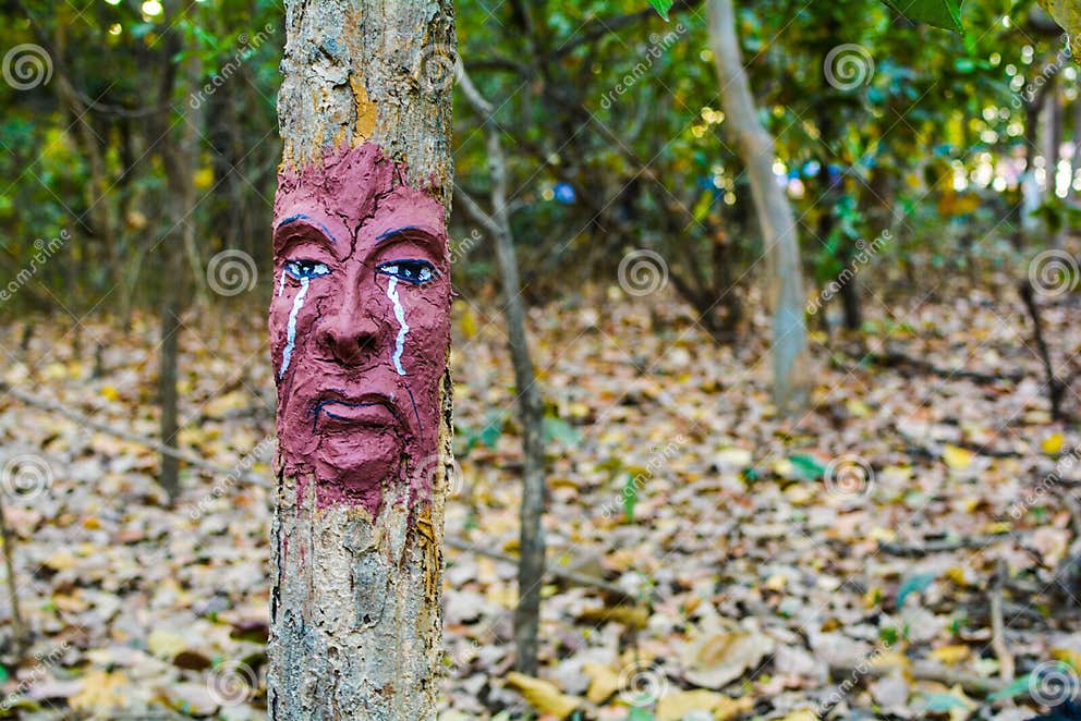 Crying Tree Face Nature Deforestation Stock Photo - Image of nature ...