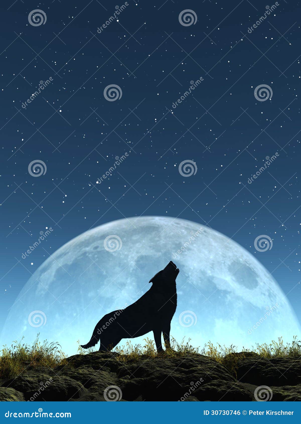 Crying Wolf stock illustration. Illustration of night - 30730746