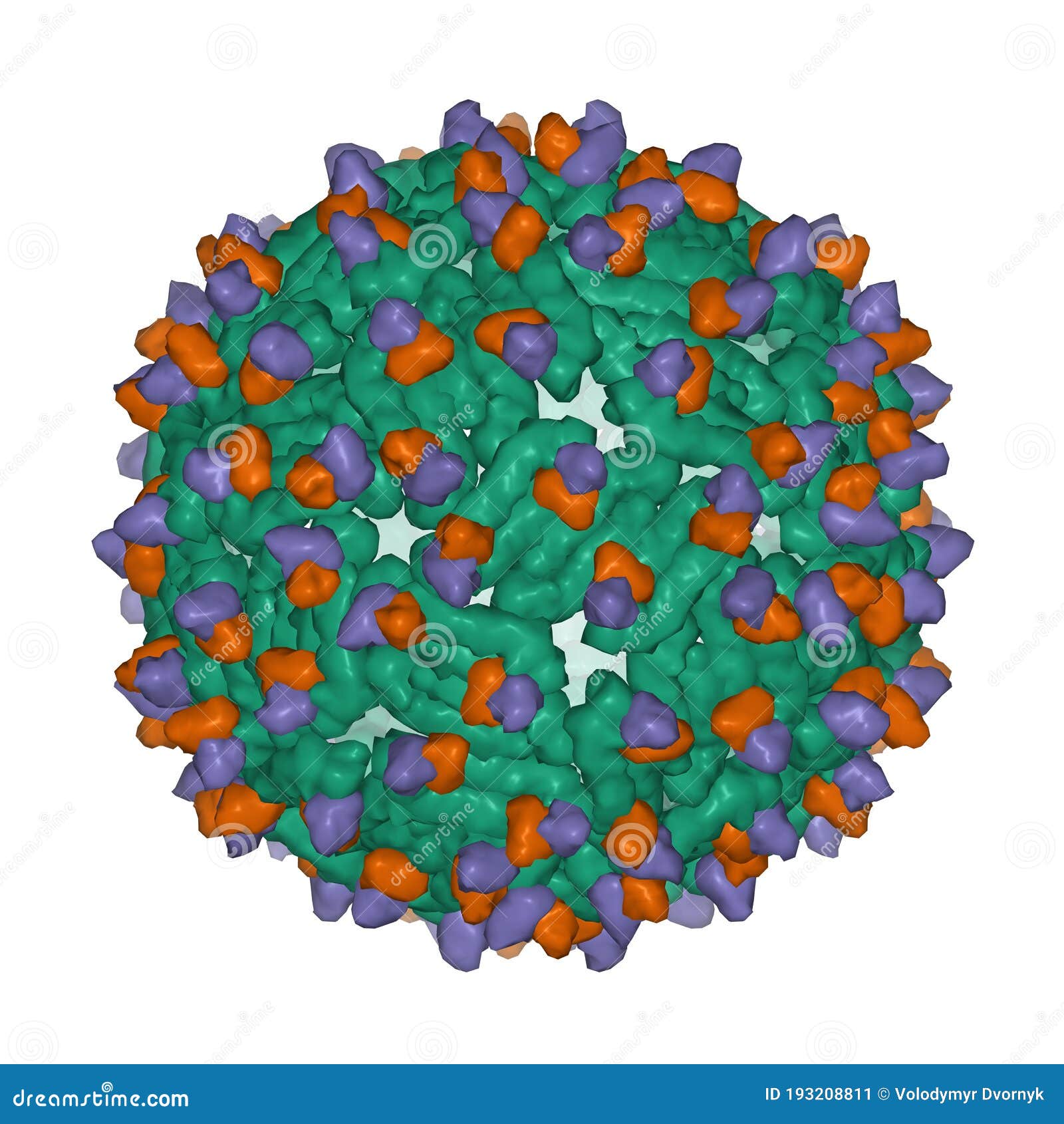 Cryo-EM Structure Of Dengue Virus Strain Green Complexed With Human ... Cryo-EM Structure Of Dengue Virus Strain Green Complexed With Human ...