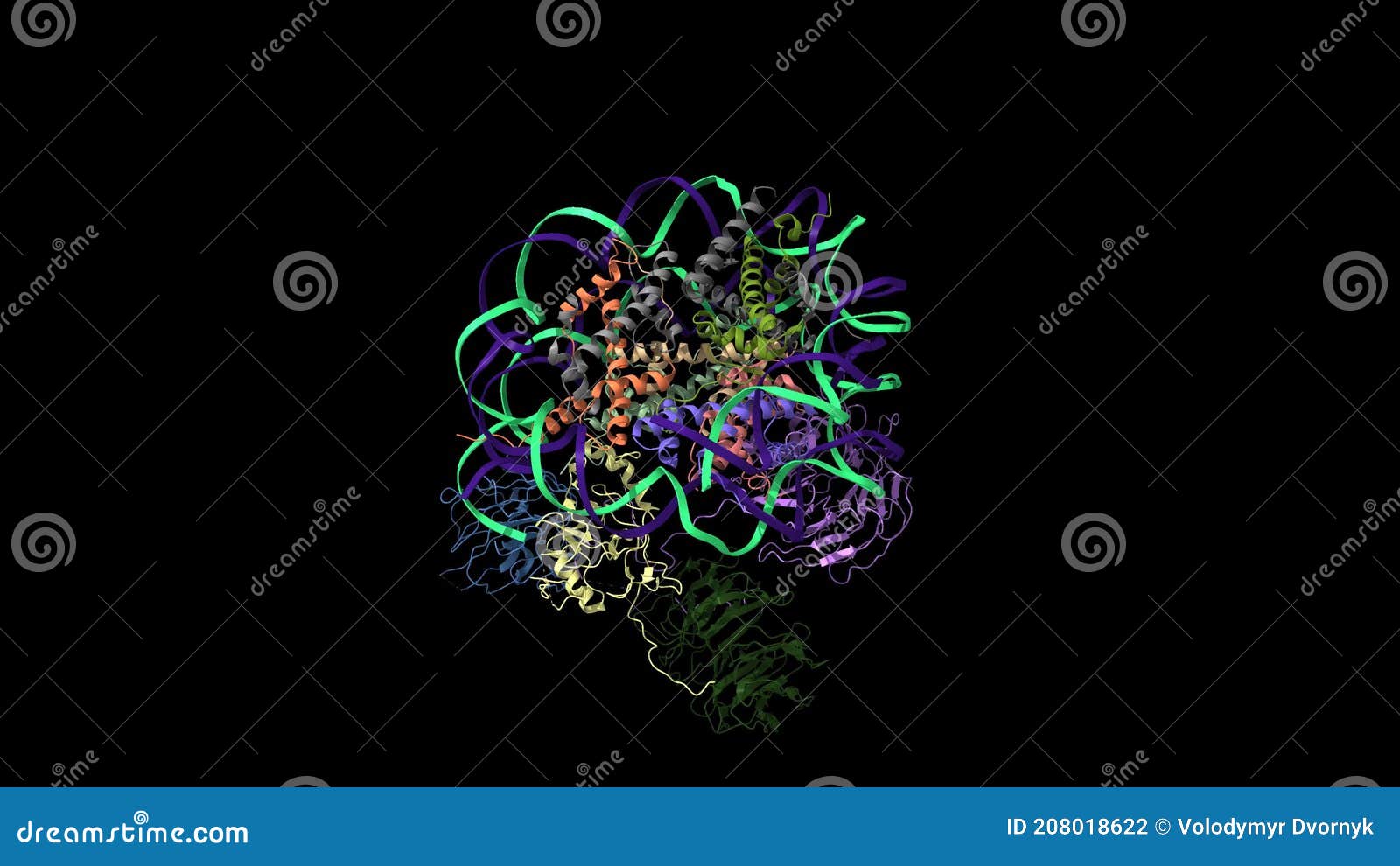 Cryo-EM Structure of Human MLL1-NCP Complex, Binding Modes 1-2 Stock ...