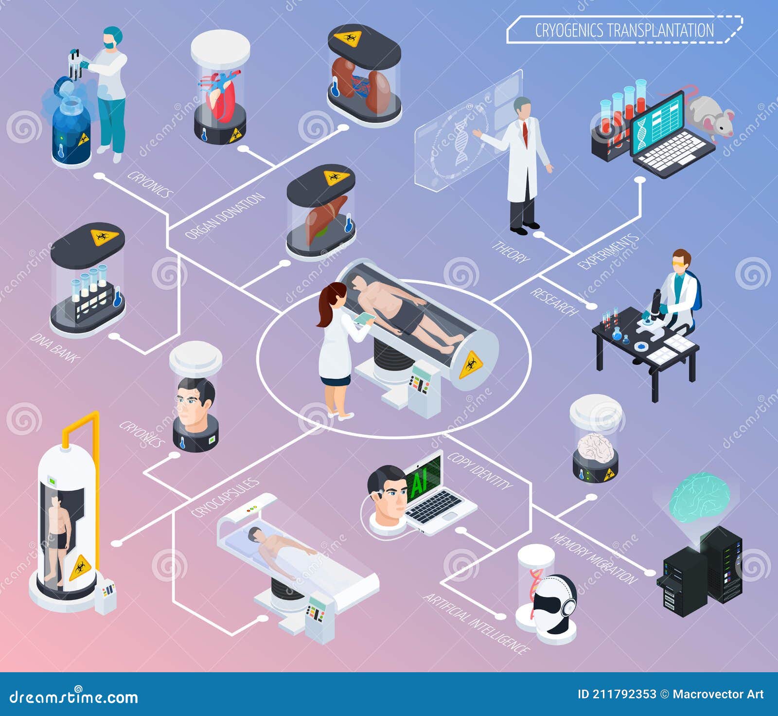 Cryonics Transplantation Flat Flowchart Cartoon Vector | CartoonDealer ...