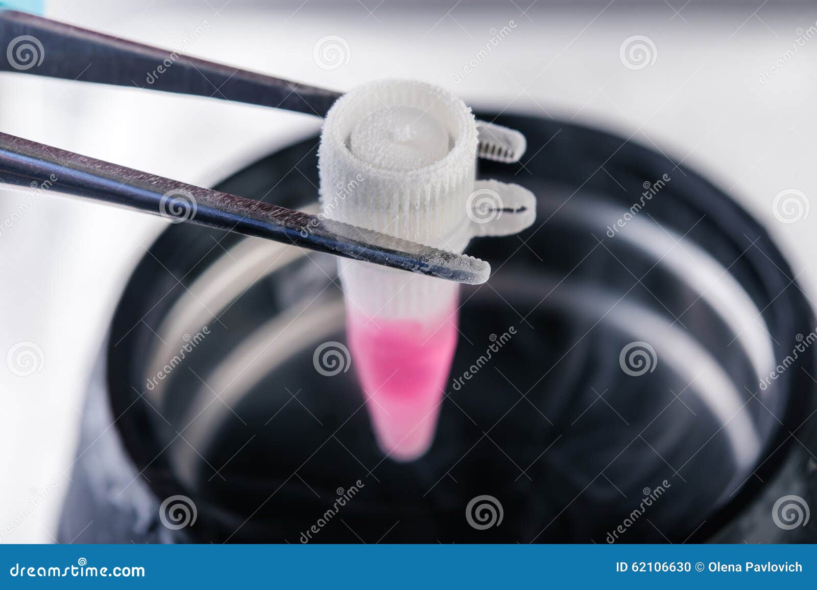 Cryosample for Long-term Storage. Stock Photo - Image of experiment ...