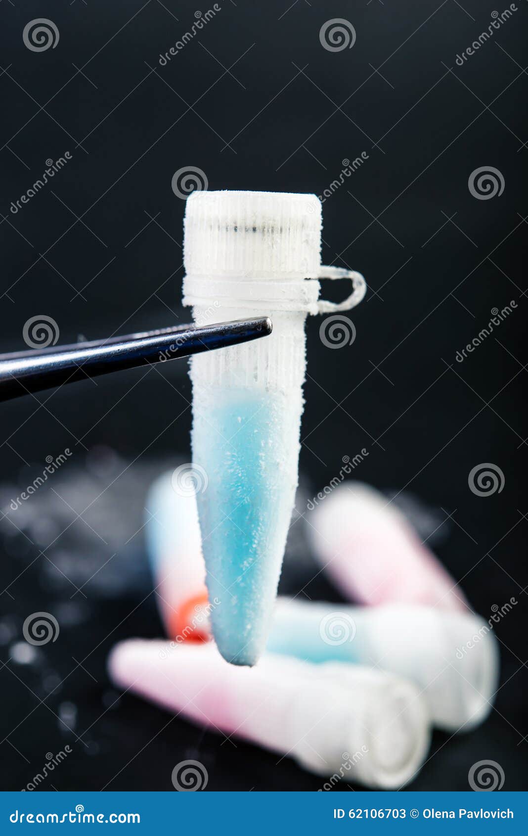 Cryosamples for Long-term Storage on Liquid Nitrogen Bank. Stock Image ...