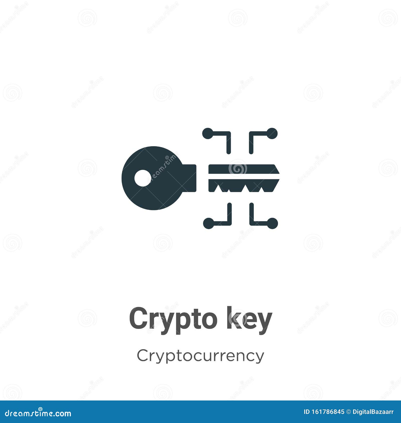 Crypto Key Vector Icon on White Background. Flat Vector Crypto Key Icon ...
