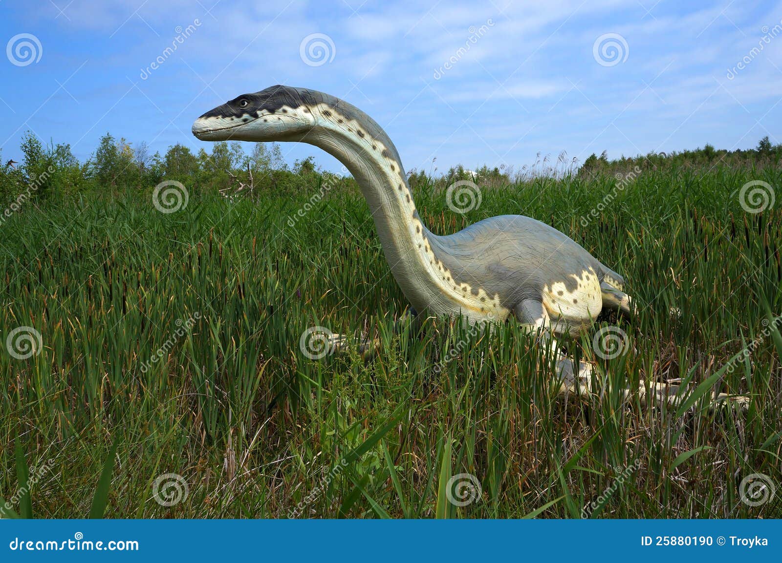 Cryptoclidus (Plesiosaur). Modell Av Dinosauren. Arkivfoto - Bild av ...