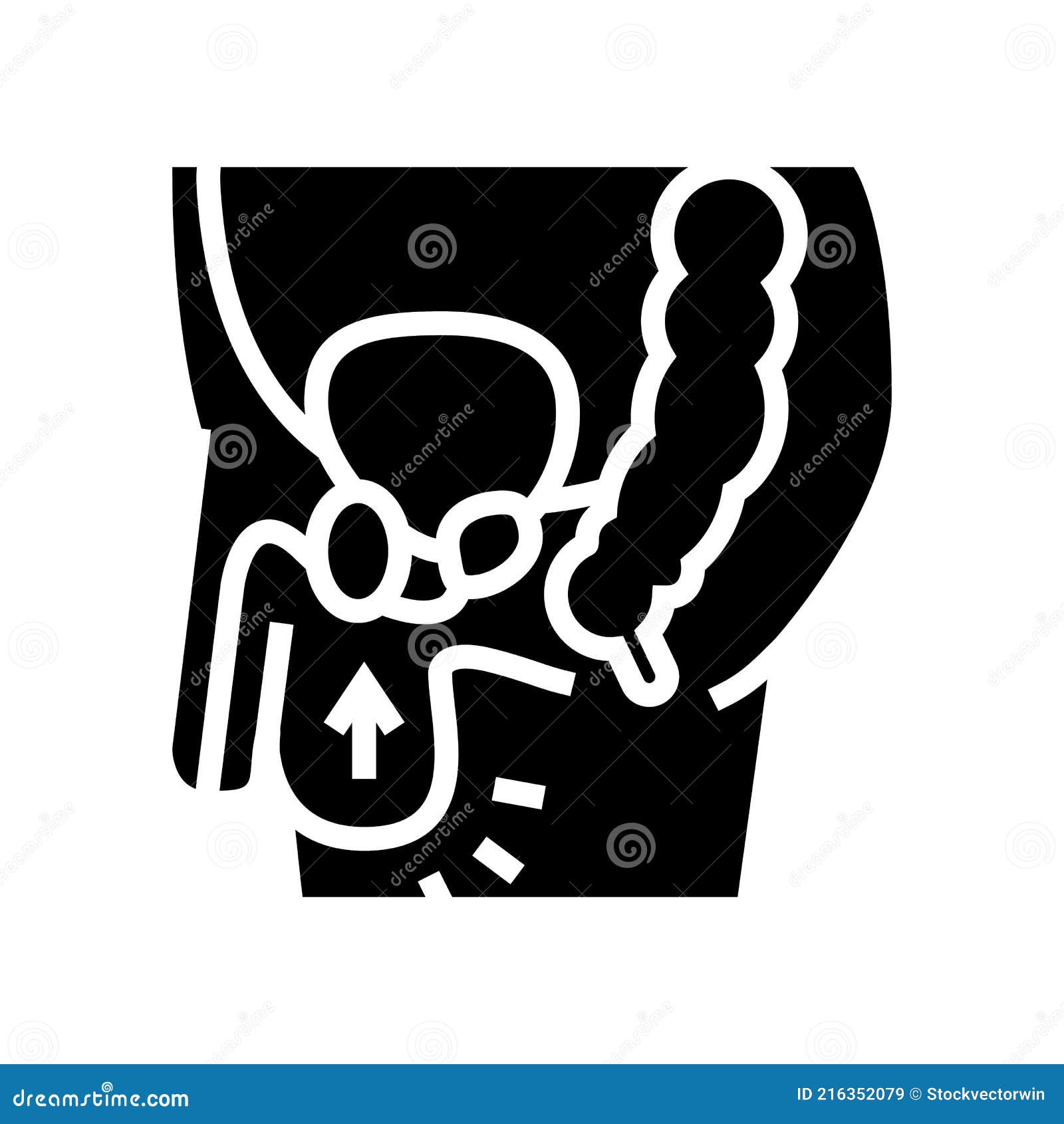 Cryptorchidism Disease Line Icon Vector Illustration Stock Vector